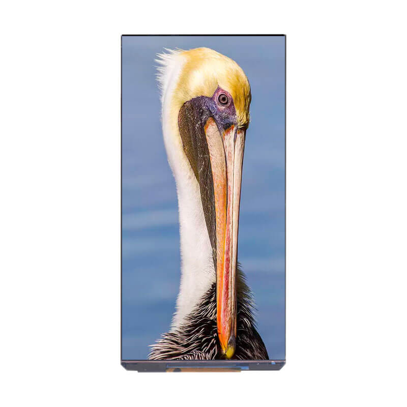 6 inch LCD Display 1080x2160 High Resolution LCD Panel With 40Pins MIPI ...