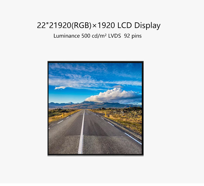 DV220X2M-NV0 BOE 22 Inch Square Display 1920×1920 LVDS TFT LCD Display ...