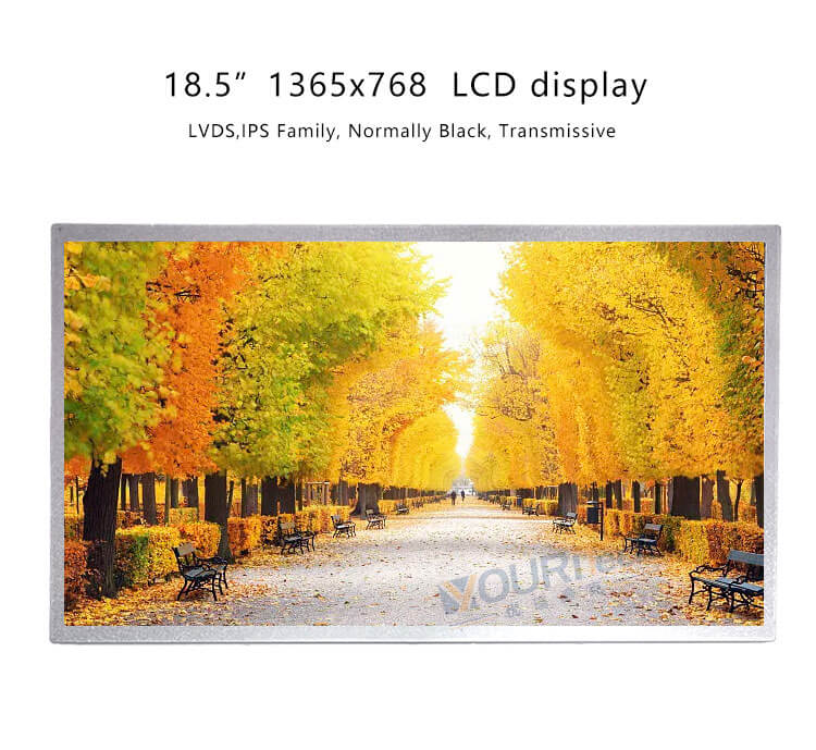 Factory Supply 18.5 Inch 1365x768 Resolution Free Angle with LVDS 30 ...