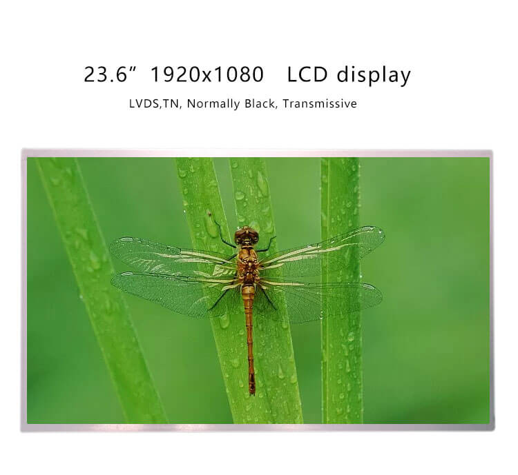 23.6 Inch TFT LCD Display 1920x1080 LVDS Interface IPS High Brightness ...