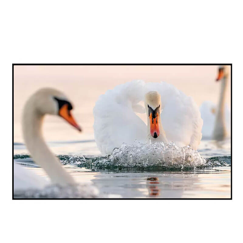 27 Inch TFT LCD Display 3840x2160 eDP Interface IPS High Brightness LCD ...