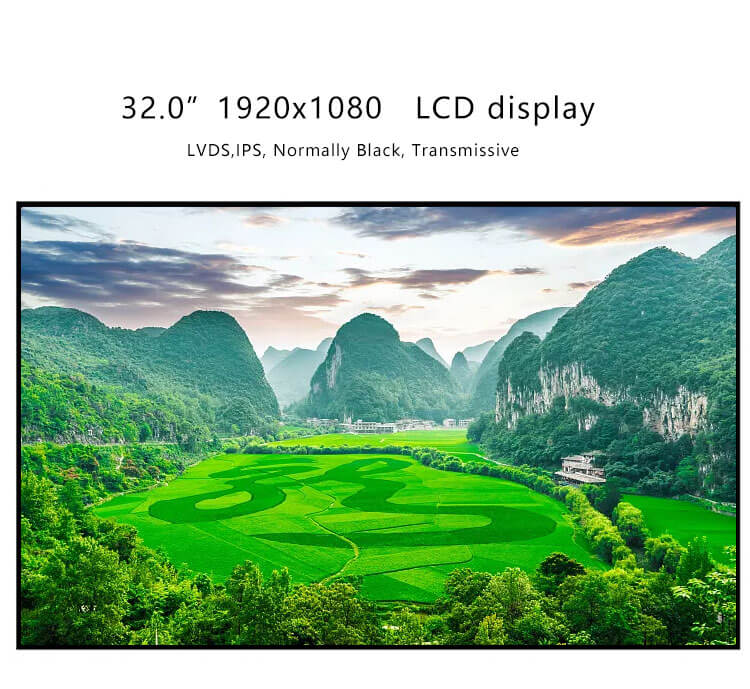 32 Inch TFT LCD Display 1920x1080 LVDS Interface IPS High Brightness ...