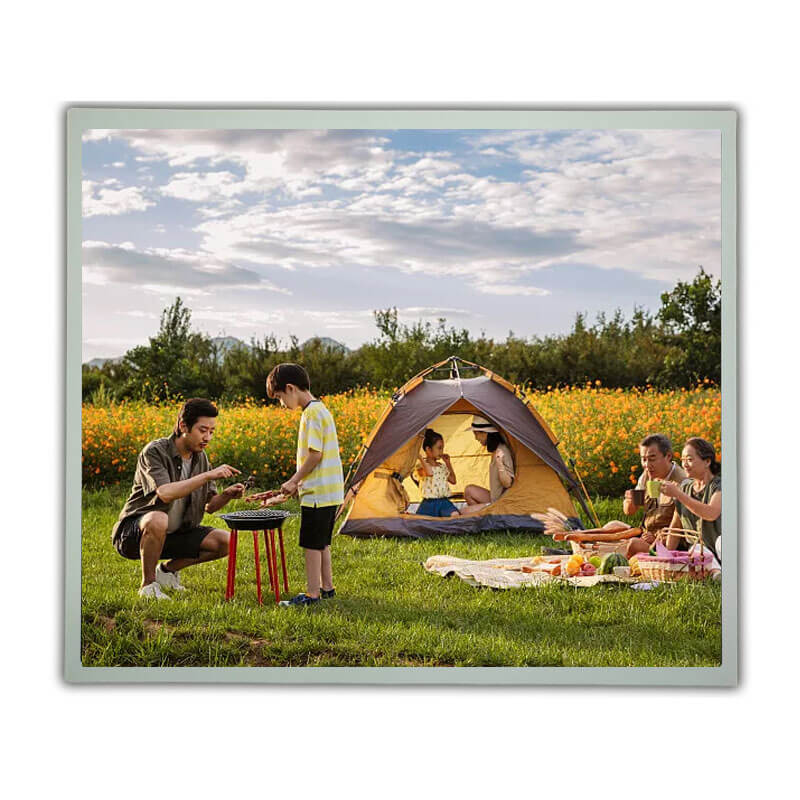 17 Inch TFT LCD Display 1280x1024 LVDS Interface IPS High Brightness ...