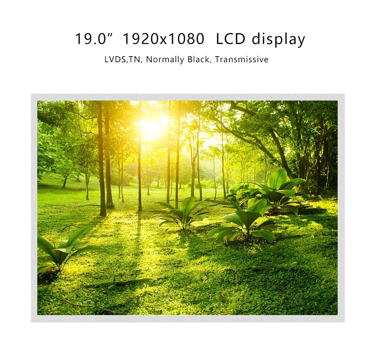 GL190-C12-HT190AN1-03 Original 19 Inch TFT LCD Display 1920x1080 IPS ...