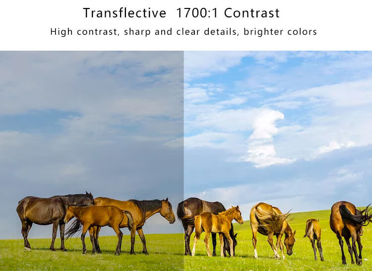 LQ123B5RW01 Sharp 12.3 Inch Stretched Bar Display 1440x540 IPS sRGB ...