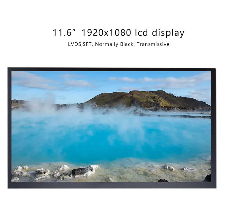 TM116VDSP03 Tianma 11.6 inch LCD Panel 1920x1080 IPS Wide Temperature ...