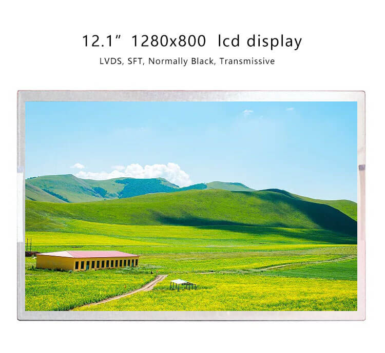 12.1 inch LVDS 30 Pins Interface 1280x800 TFT LCD Display Full View RGB ...