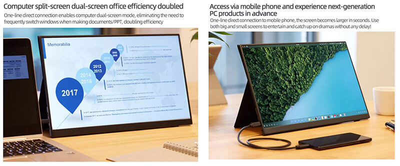 15.6 Inch Portable Monitor 1920x1080 Type-c HDMI Portable Display ...